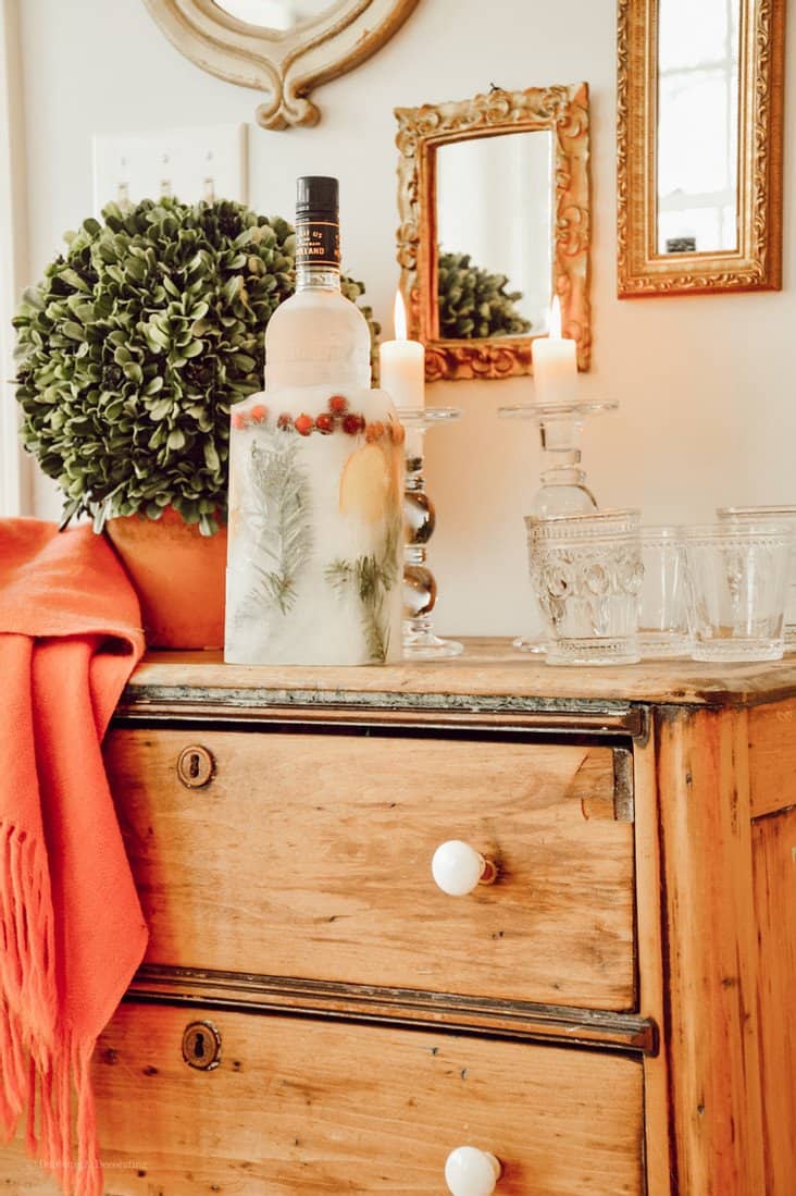 DIY Frozen Ice Bucket: The Easiest Party Wow You’ll Ever Make