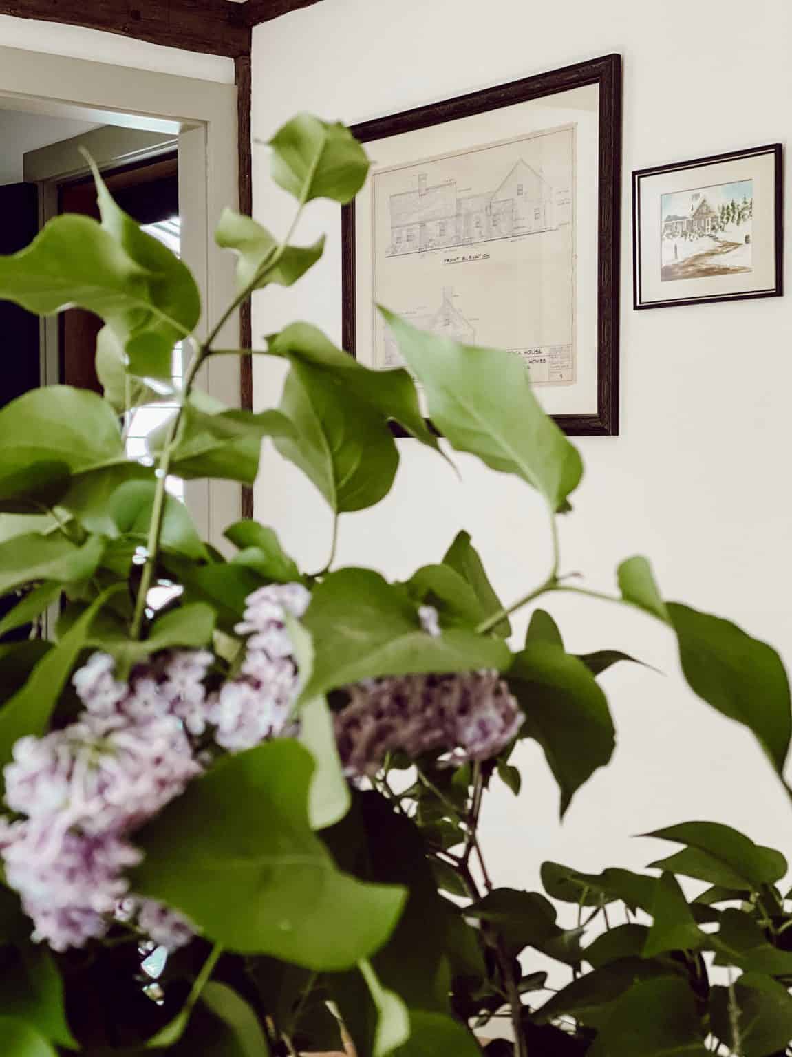 How I Turned Old House Plans Into Meaningful Wall Art