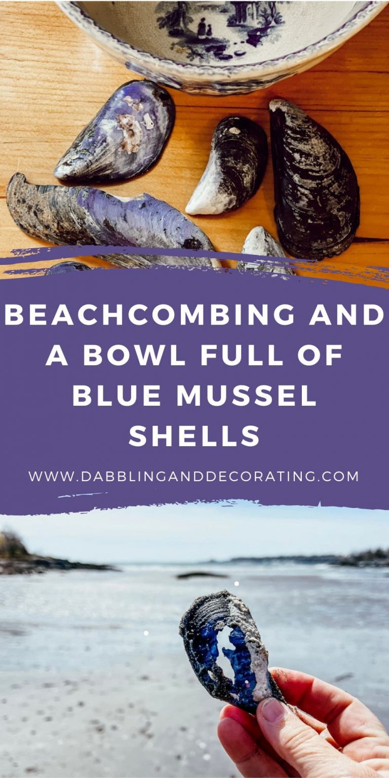 Beachcombing, Blue Mussels, and an Antique Bowl | Dabbling and Decorating