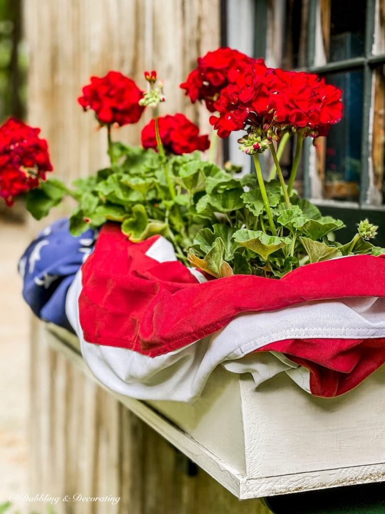 Geranium Window Box Ideas for Summer with a Patriotic Twist