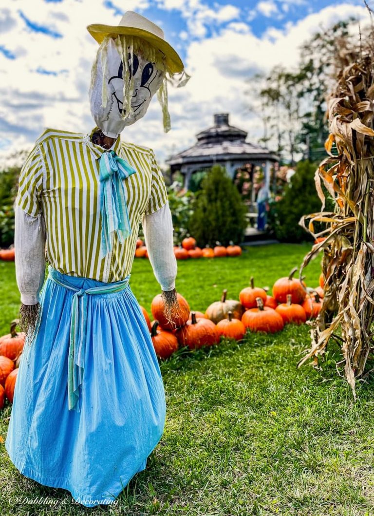 36+ Funny Scarecrow Ideas Straight from Fall in Vermont