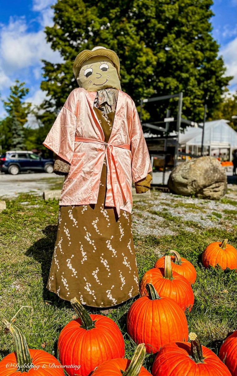 29 Funny Scarecrow Ideas Straight from Fall in Vermont