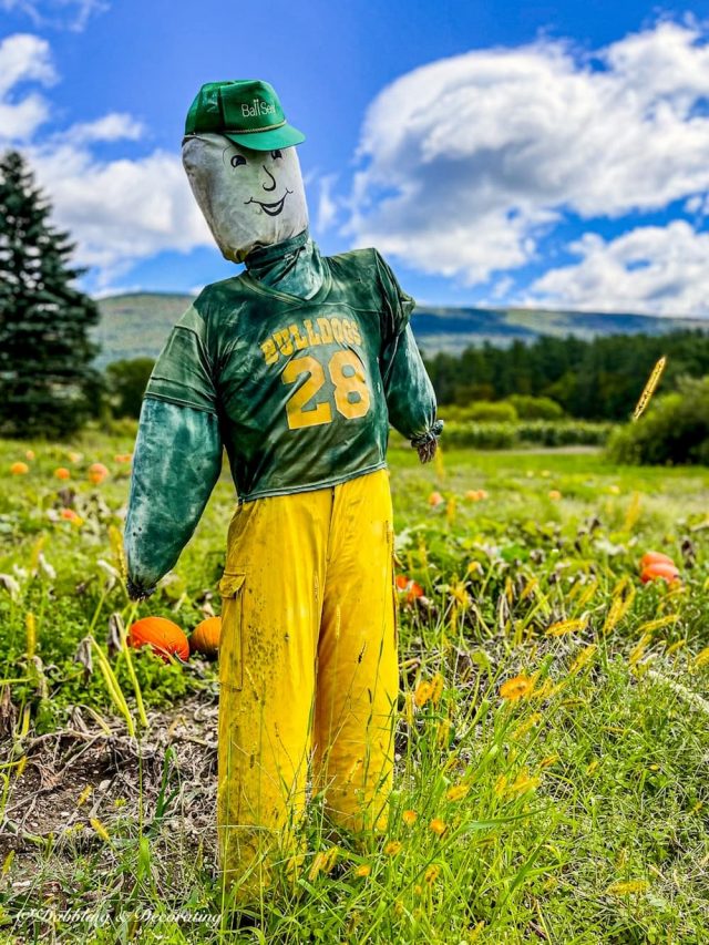 29 Funny Scarecrow Ideas Straight from Fall in Vermont