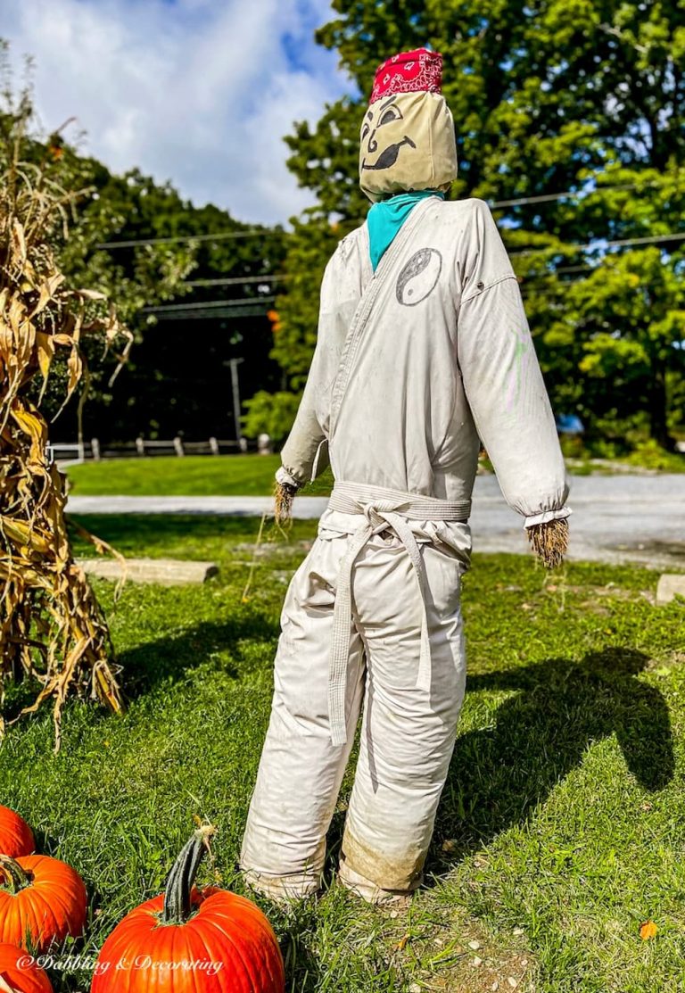 36+ Funny Scarecrow Ideas Straight from Fall in Vermont