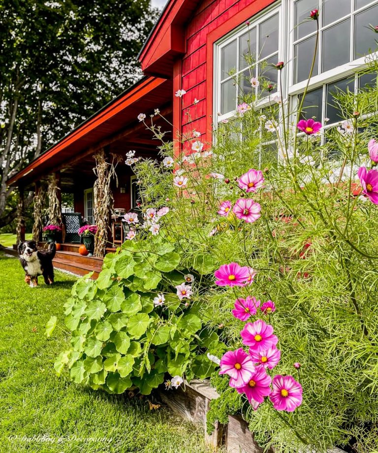 Vermont Home Tour: Vintage-Inspired Cottage Style in the Green Mountains