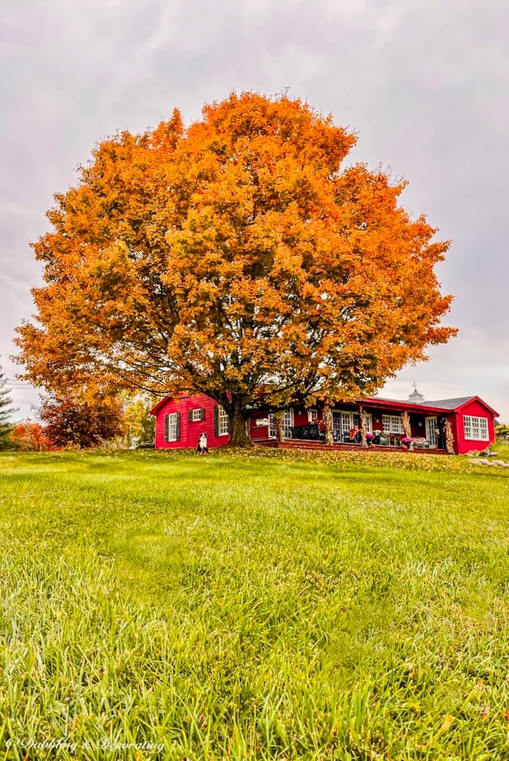 Vermont Home Tour: Vintage-Inspired Cottage Style in the Green Mountains