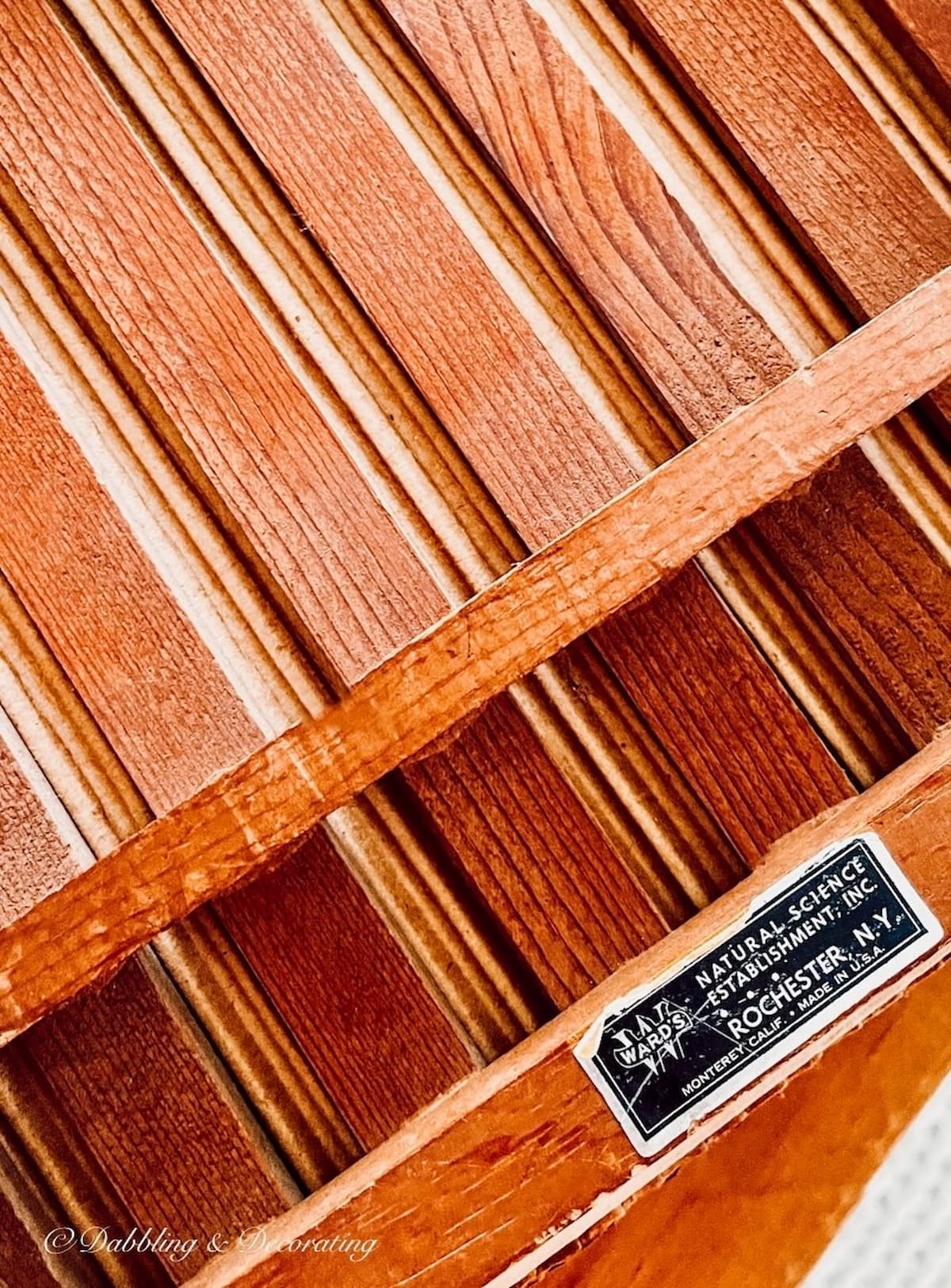 Vintage Flower Press: The Prettiest Vintage Tool for a Library or Craft ...