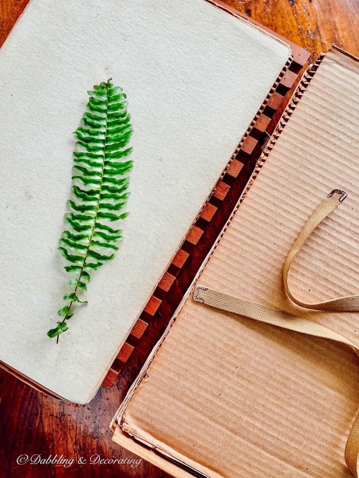 Vintage Flower Press: The Prettiest Vintage Tool for a Library or Craft ...