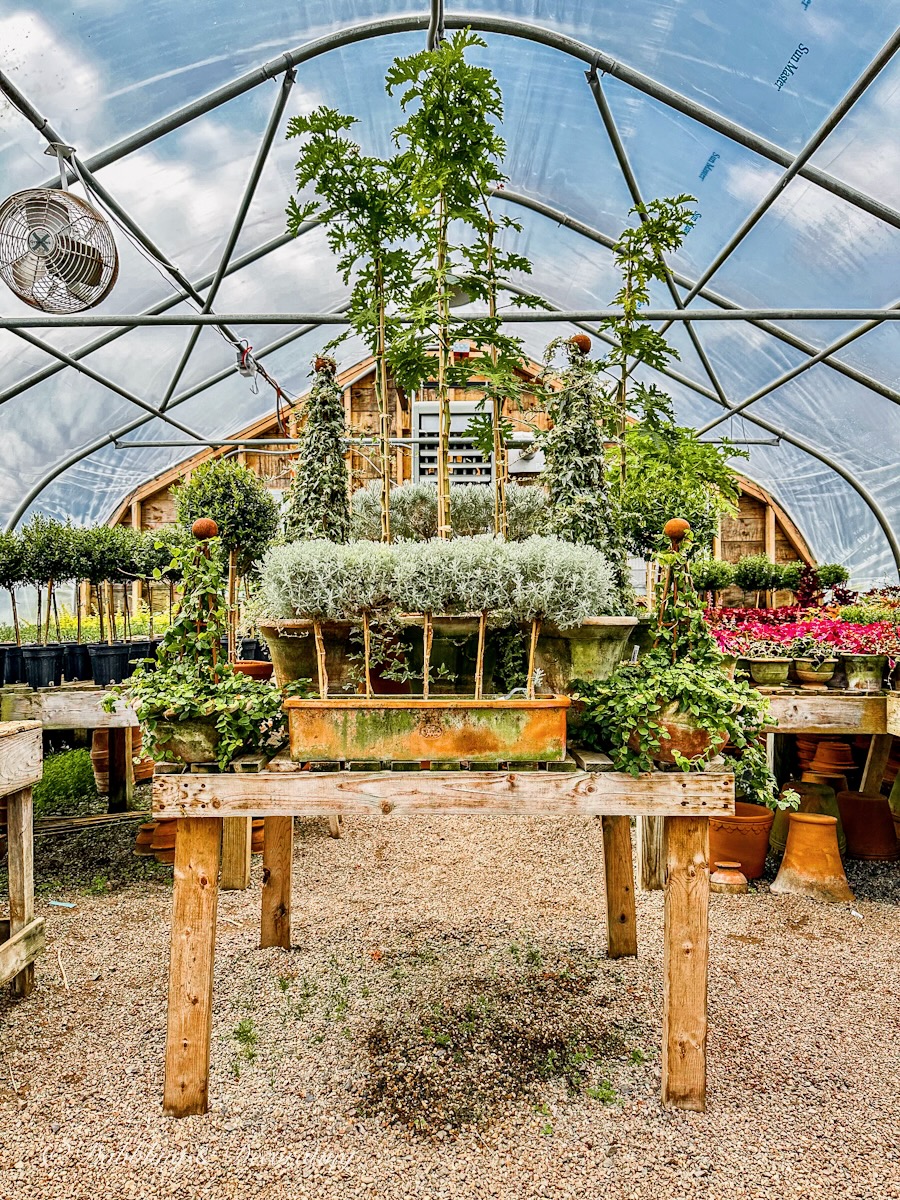 Snug Harbor Farm: Garden Inspiration in Maine