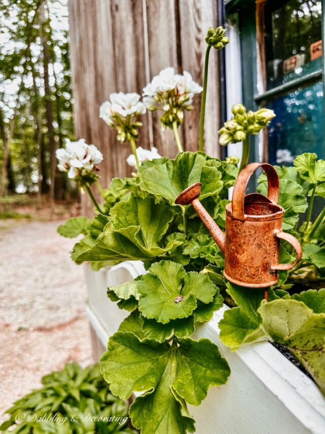 Vintage Planter Ideas with White Petunias for a Rustic Summer Look