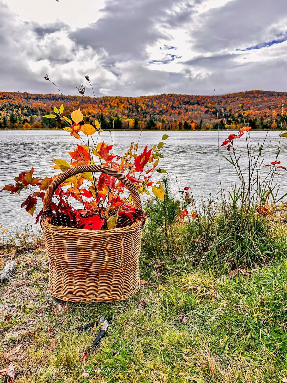 6 Forage Basket Arrangements For The Off-Season