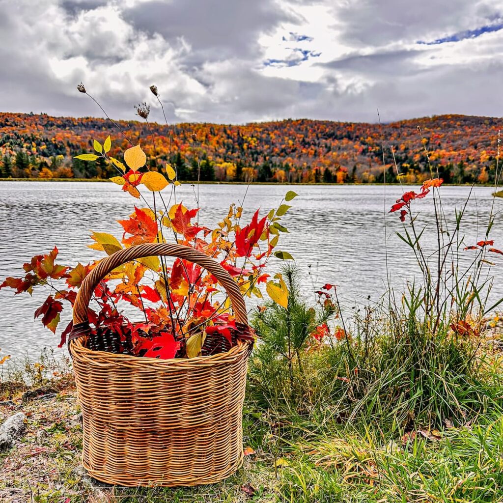 Fall Flower Arrangements for Foraged Autumn Bouquets