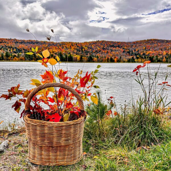 Fall Flower Arrangements for Foraged Autumn Bouquets