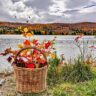 Fall Flower Arrangements for Foraged Autumn Bouquets