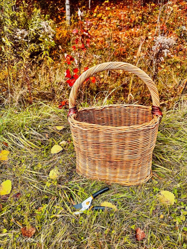 6 Forage Basket Arrangements For The Off-Season