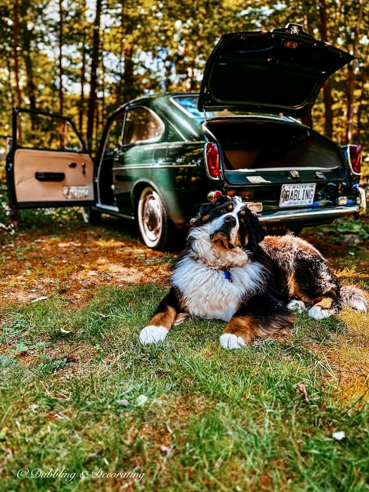 Vintage Car Picnic Inspiration: A Backyard Trunk Setup You’ll Want to ...
