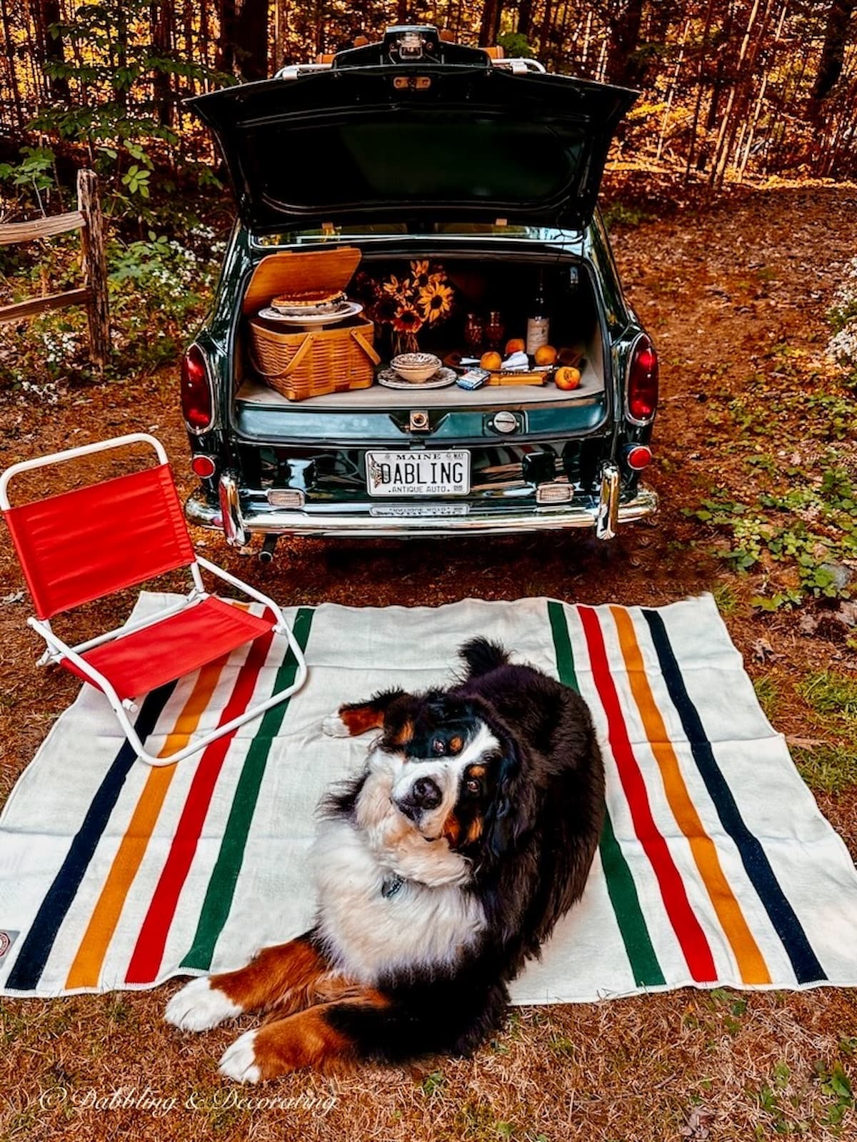 Car Picnic Ideas: How To Create a Charming Backyard Trunk Setup