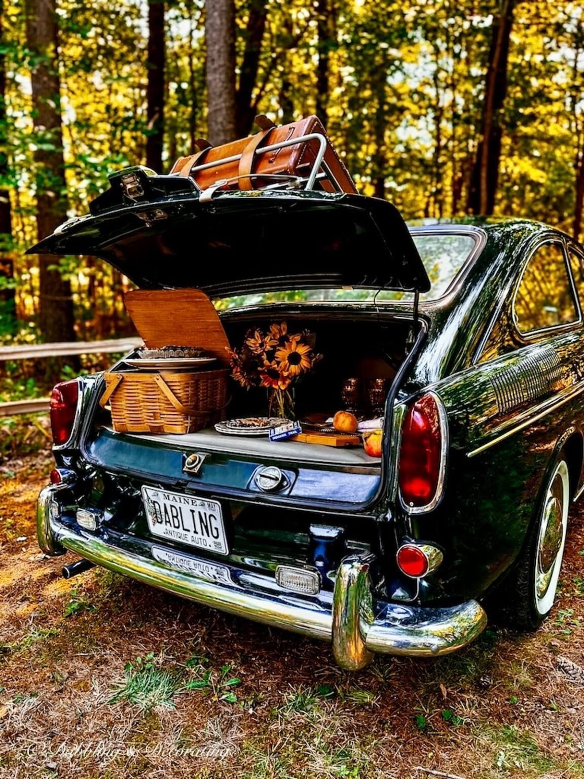 Car Picnic Ideas: How To Create a Charming Backyard Trunk Setup
